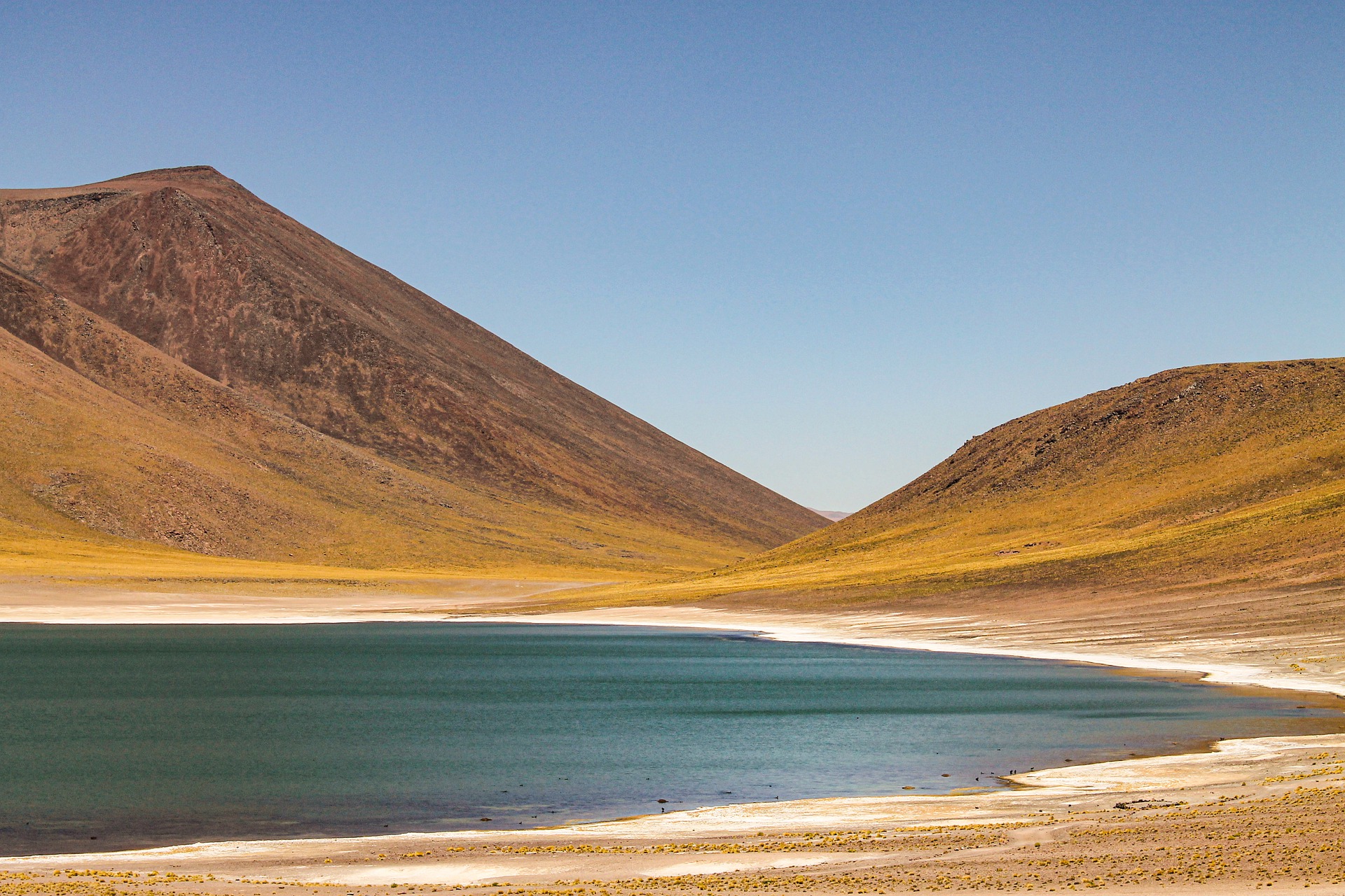 Díky velkým dešťům mohla vykvést poušť Atacama