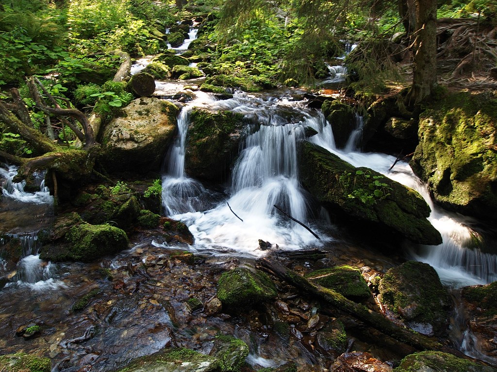 Stezka Bílá Opava – na své si přijdou | Svět cestovatele
